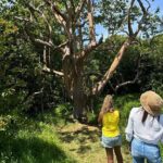 Road to Hana Maui Tours - Summary: Who Will Love This Tour?