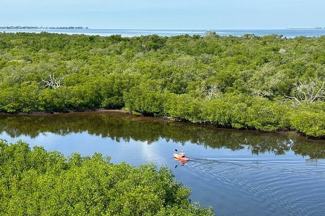Robinson Preserve Mangrove Tour - Who Should Consider This Tour?
