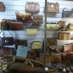 Rockhampton: Koorana Crocodile Farm Guided Tour - The Value of the Experience