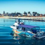 Rockingham: Lobster Catch and Keep Tour with Refreshments - What Makes This Tour a Great Value