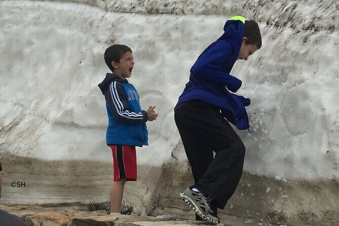 Rocky Mountain National Park The Best of Rocky Tour - The Value Proposition