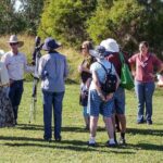 Roma: 1-Hour Birdwatching Nature Trail Walk - The Itinerary in Detail