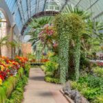 Romantic Charms of Auckland  Private Walking Tour - In-Depth Look at the Itinerary