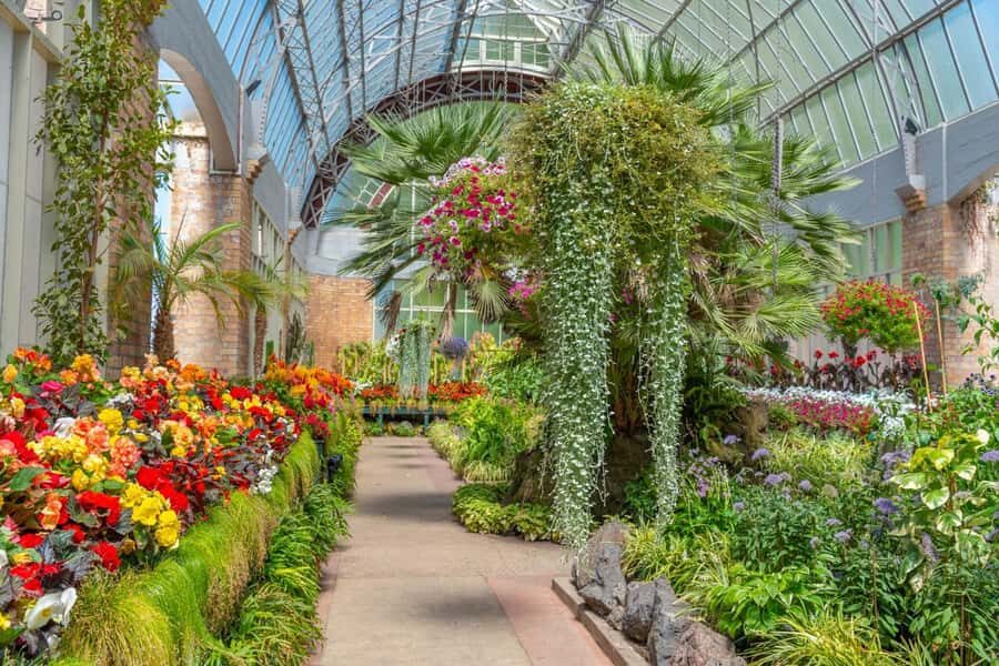 Romantic Charms of Auckland Private Walking Tour - In-Depth Look at the Itinerary