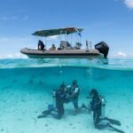 Romantic dive in the lagoon of Bora Bora. Private instructor on a shared boat - Is It Worth the Price?