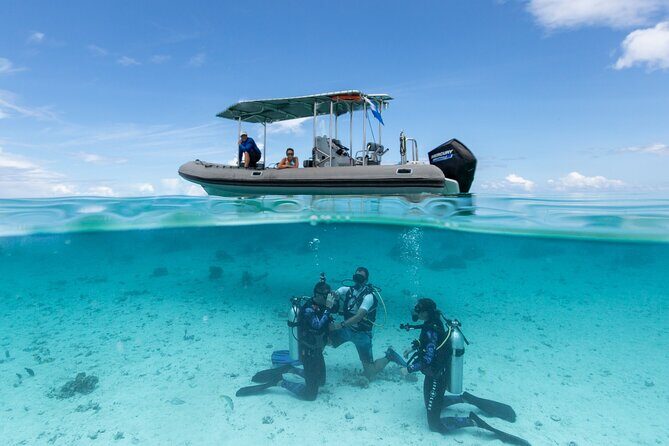 Romantic dive in the lagoon of Bora Bora. Private instructor on a shared boat - Is It Worth the Price?