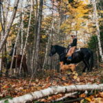 Romantic horseback riding at sunset : La Crépuscule - The Value of La Crépuscule
