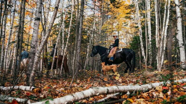 Romantic horseback riding at sunset : La Crépuscule - The Value of La Crépuscule