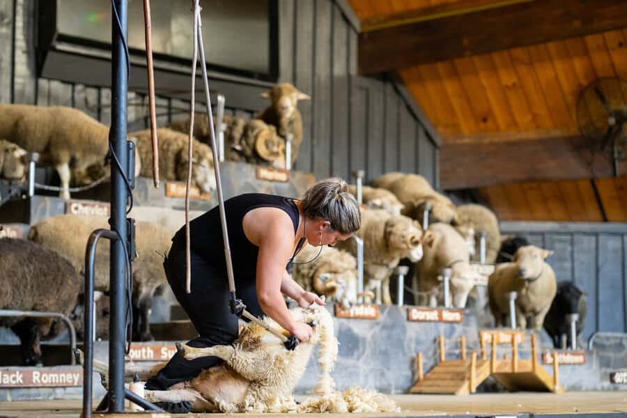 Rotorua: Authentic Kiwi Farm Experience at the Agrodome - The Value of the Experience