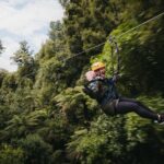 Rotorua Canopy Tours: 2.5Hour Native Forest Zipline Adventure - Why This Tour Offers Great Value