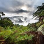 Rotorua Eco Cultural full day tour (Wai o Tapu, Waimangu,Te puia) - Who Is This Tour Best For?