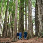 Rotorua: Explore The Lakes Half-Day Morning Tour - Final Thoughts
