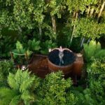 Rotorua Forest Hot Tub Soak at Secret Spot - A Deep Dive into the Hot Tub Experience