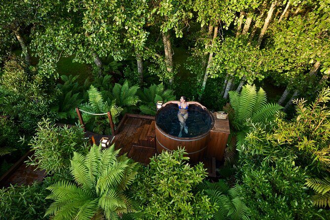 Rotorua Forest Hot Tub Soak at Secret Spot - A Deep Dive into the Hot Tub Experience