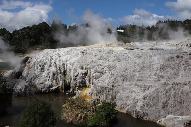 Rotorua Full Day Adventure in Glowworm Cave and Redwoods - Redwoods Forest and Glowworm Eco-Cave: A Fairy-Tale Setting