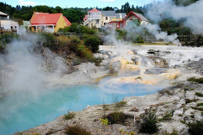 Rotorua Geothermal Living Maori Village Tour Whakarewarewa 6.5hours Tour - What Reviewers Say