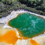 Rotorua Highlights inc. Waiotapu & Te Puia Day Tour from Auckland - Who Is This Tour For?