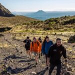 Rotorua: Mount Tarawera Volcanic Crater Half-Day Guided Walk - Authentic Experiences and Review Insights
