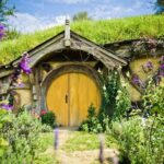 Rotorua: One-Way Trip to Auckland via Hobbiton & Waitomo - The Detailed Experience: What to Expect