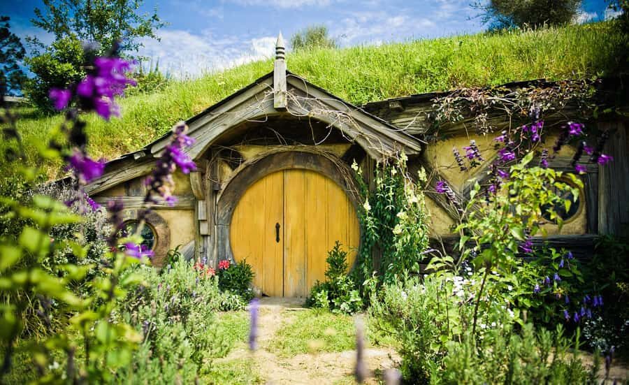 Rotorua: One-Way Trip to Auckland via Hobbiton & Waitomo - The Detailed Experience: What to Expect