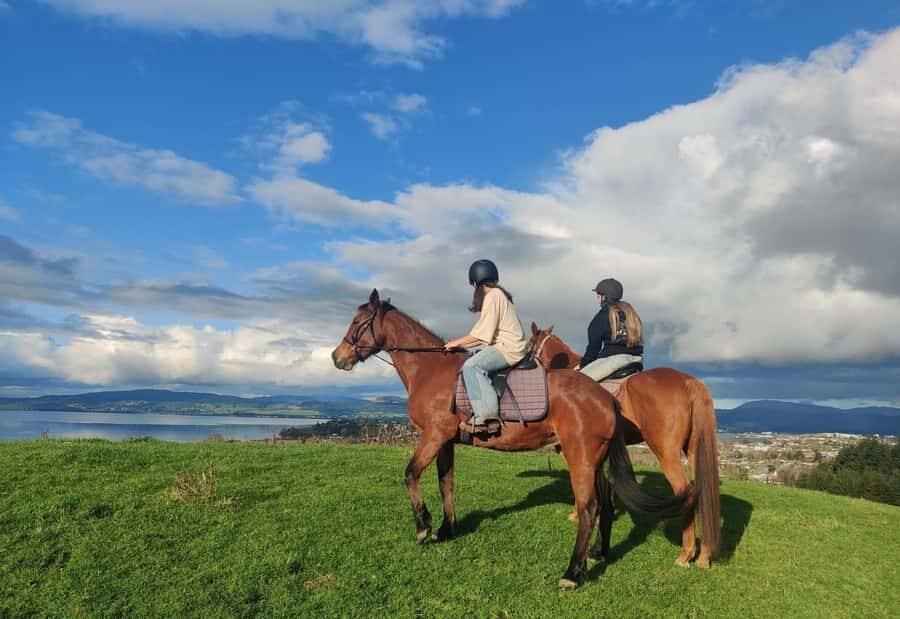 Rotorua: Scenic Horse Trek - Why This Tour Is a Great Pick