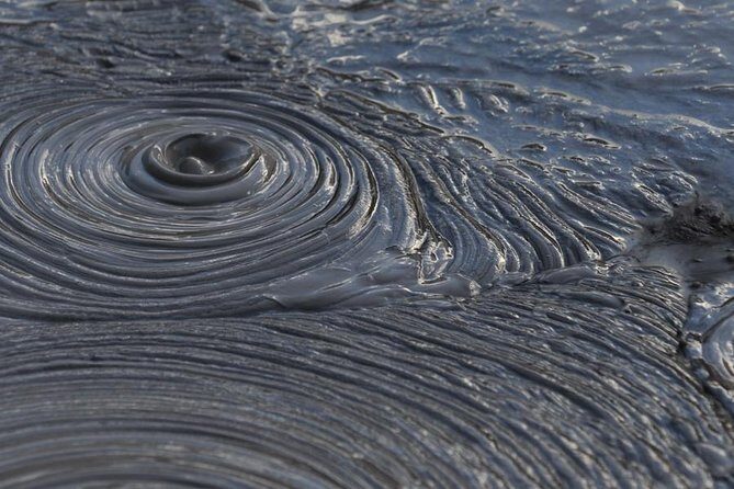 Rotorua Small-Group Day Tour from Auckland - Why This Tour Offers Exceptional Value