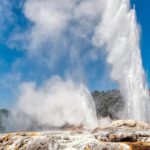 Rotorua Te Puia and Blue Springs Day Tour - What’s Included and What to Keep in Mind