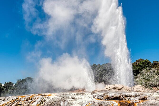 Rotorua Te Puia and Blue Springs Day Tour - What’s Included and What to Keep in Mind