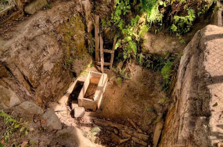 Rotorua: The Buried Village of Te Wairoa - Who Will Love This Tour?