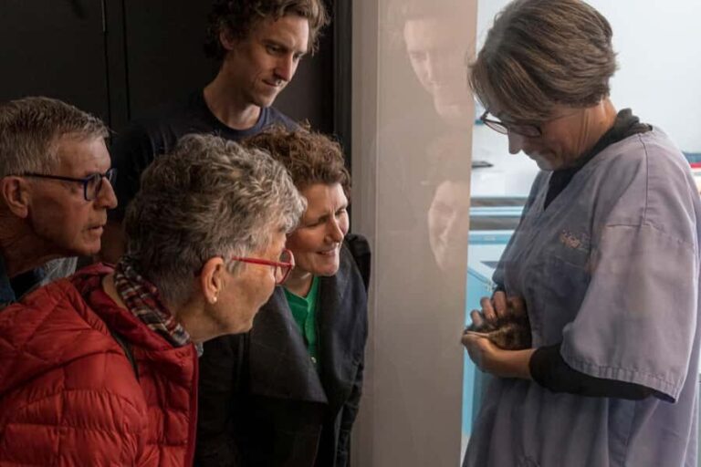 Rotorua: The National Kiwi Hatchery Kiwi Encounter Tour - The Logistics: How It Works