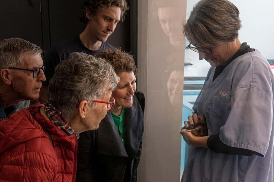 Rotorua: The National Kiwi Hatchery Kiwi Encounter Tour - The Logistics: How It Works