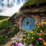 Rotorua to Auckland via Hobbiton Tour with Lunch - One Way - Transportation and Group Size