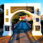 Rotorua: Whakarewarewa Village Guided Tour - What Youll Love About the Whakarewarewa Guided Tour