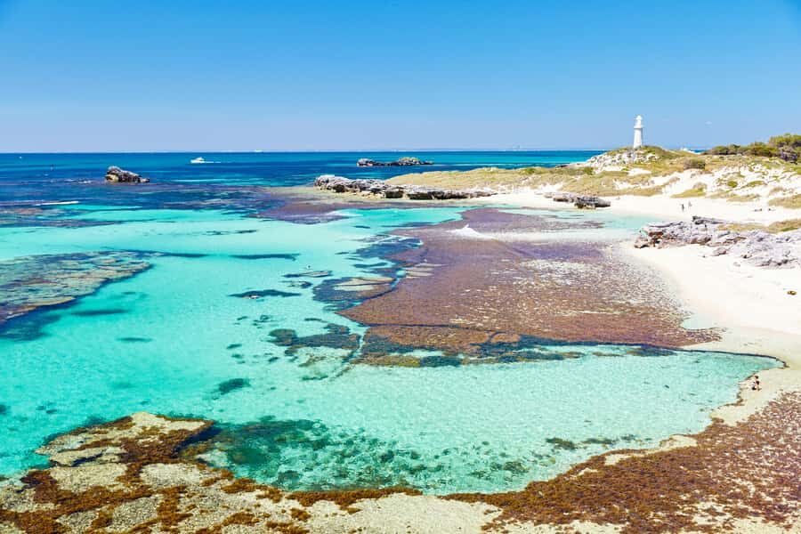 Rottnest Grand Island Package with Ferry, Tour & Light Lunch - The Itinerary: What to Expect at Each Stop
