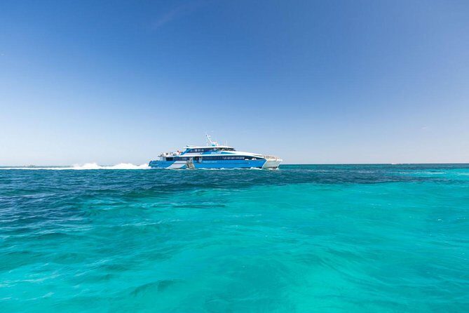 Rottnest Island All-Inclusive Grand Island Tour from Perth - What Travelers Say: Authentic Insights