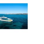 Rottnest Island Ferry and 1.75 Hr Bus Tour - Transport and Convenience
