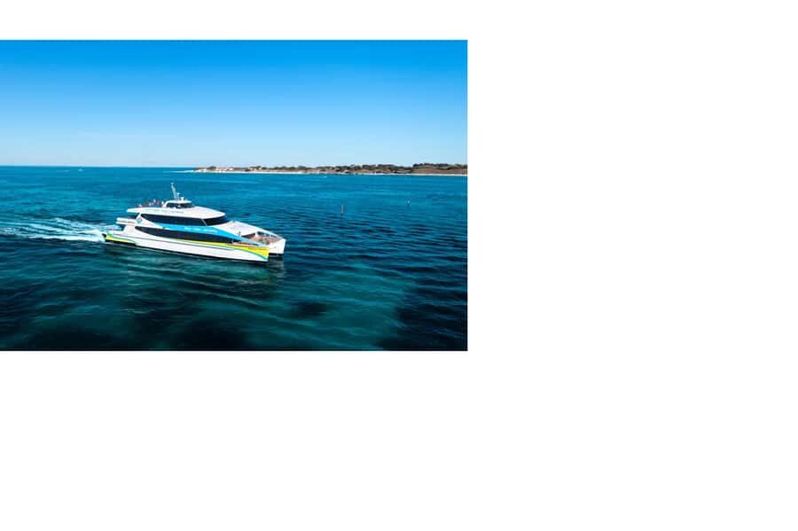 Rottnest Island Ferry and 1.75 Hr Bus Tour - Transport and Convenience
