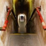 Rottnest Island Grand Tour Including Lunch and Historical Train Ride - What to Keep in Mind