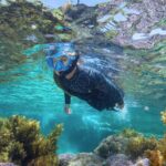 Rottnest Island Guided Snorkel Boat Experience - What Reviewers Have Said