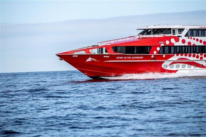 Rottnest Island Round Trip Ferry from Fremantle - Practical Tips for Making the Most of Your Trip