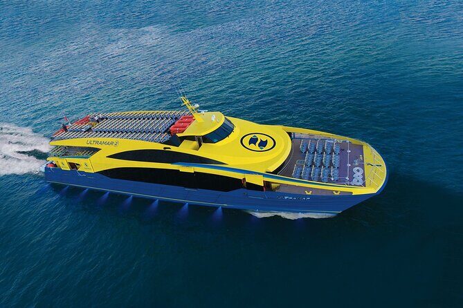 Round Ferry Transfer from Tortugas to Isla Mujeres - Practical Considerations and Tips