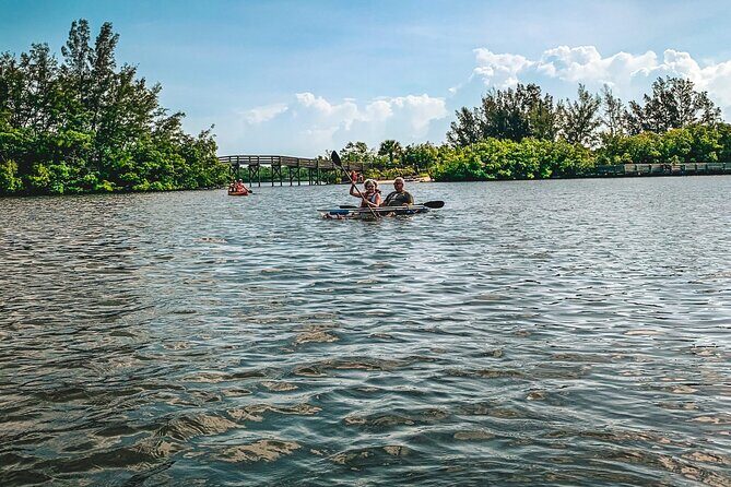 Round Island 2-Hour Glass Bottom Guided Kayak Eco Tour - A Deep Dive into the Experience