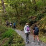 Routeburn Track Guided Hike (Full Day) - Who Is This Tour Best For?