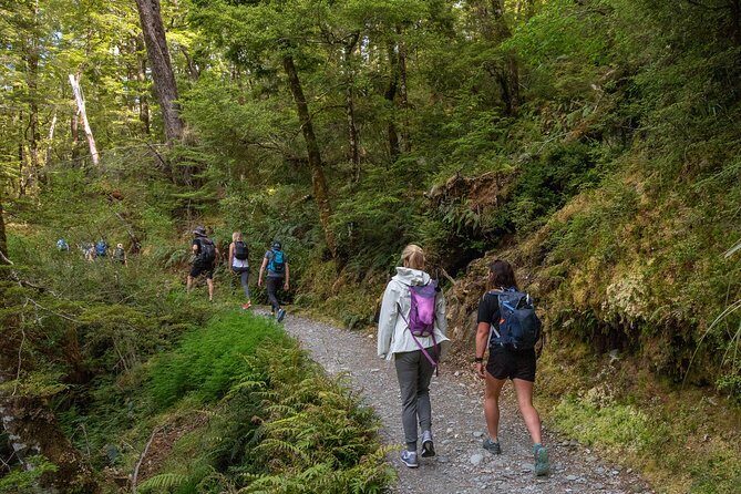 Routeburn Track Guided Hike (Full Day) - Who Is This Tour Best For?