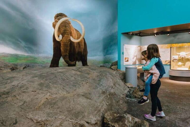 Royal B.C. Museum in Victoria: Full-Day Admission Ticket - The Experience from Visitor Perspectives