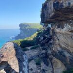 Royal National Park Wilderness Half-Day from Sydney with Picnic - Practical Tips and Insights