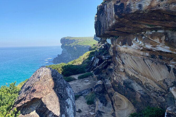 Royal National Park Wilderness Half-Day from Sydney with Picnic - Practical Tips and Insights