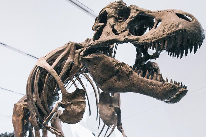 Royal Ontario Museum Admission - Who Will Love This Experience?