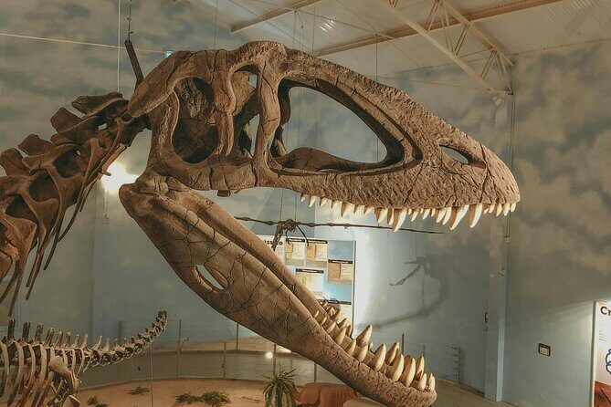 Royal Ontario Museum Toronto Tour with Skip-the-Line Tickets - Final Thoughts