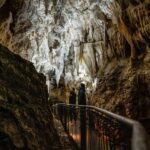 RUAKURI CAVE & HAMILTON GARDENS-PRIVATE TOUR FROM AUCKLAND - Exploring the Ruakuri Cave: The Underground Wonder